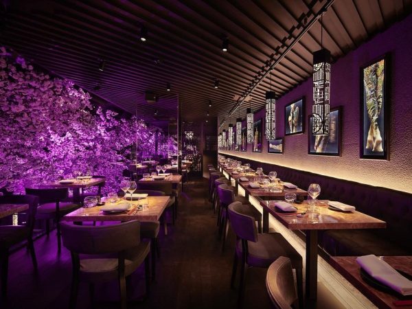 Inside Azotea - Leeds' newest Latin American rooftop bar and restaurant ...