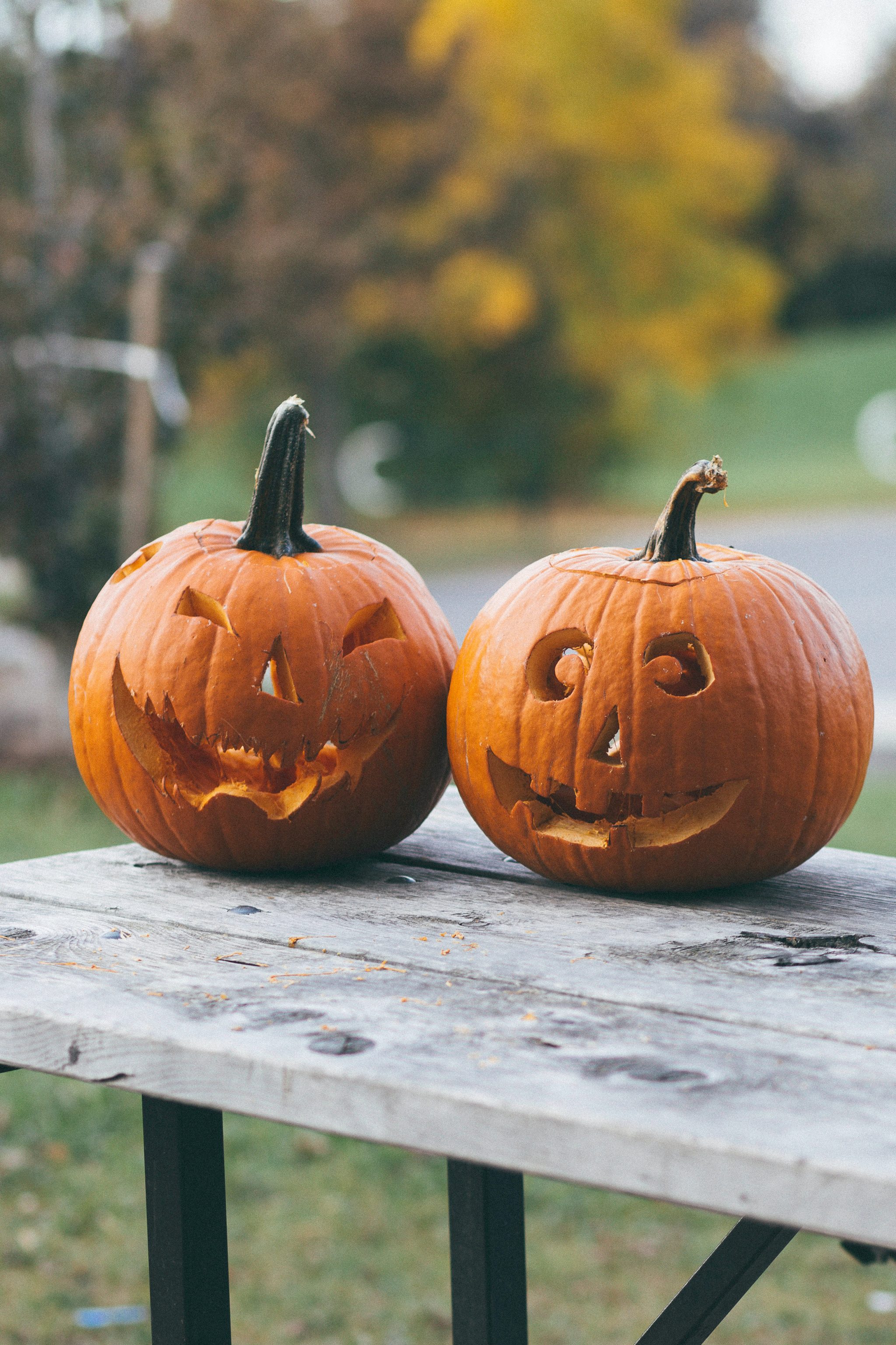 The best patches to pick pumpkins in and around Leeds