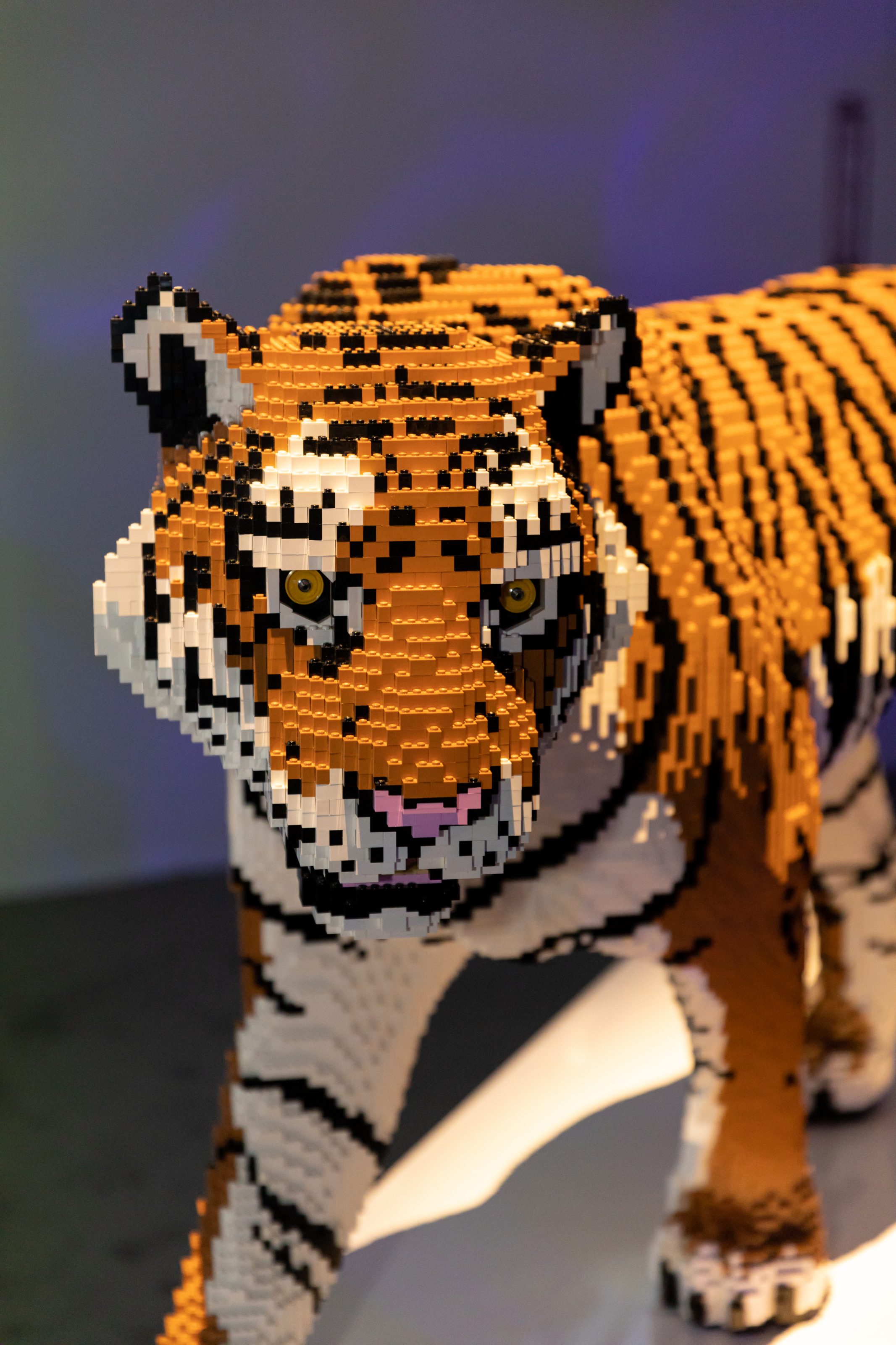 A world-renowned LEGO exhibition featuring 70 sculptures is opening in ...