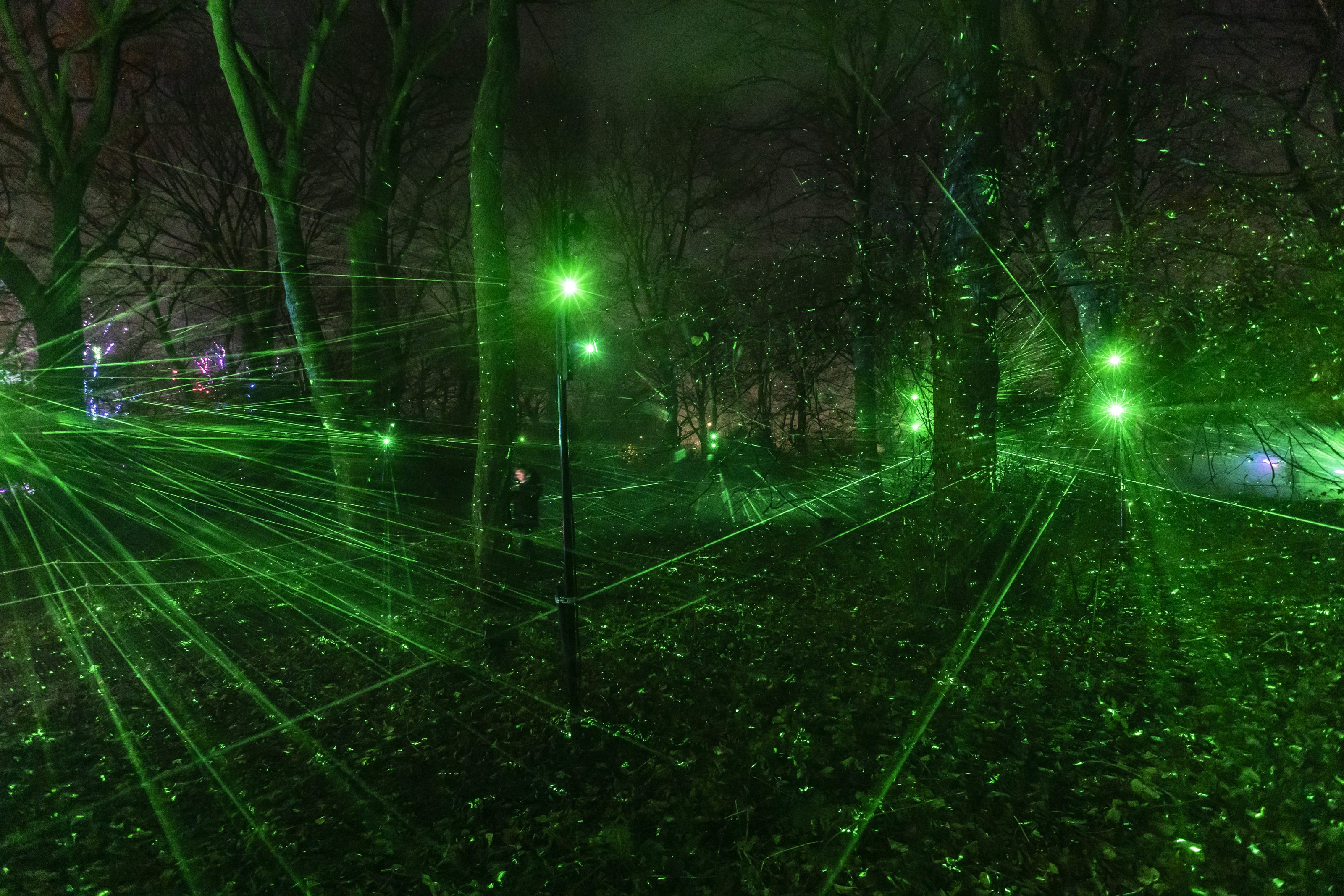 An immersive festive light trail is returning to Temple Newsam this winter | The Hoot