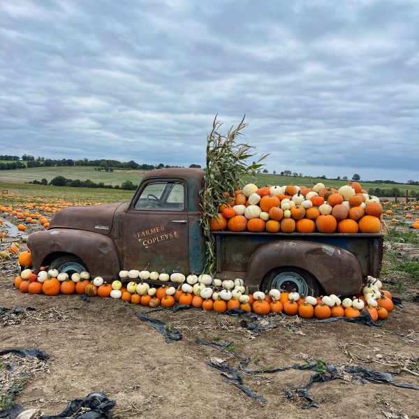 Inside ‘The Kremlin’: behind the façade of Leeds’ Quarry House - The Hoot