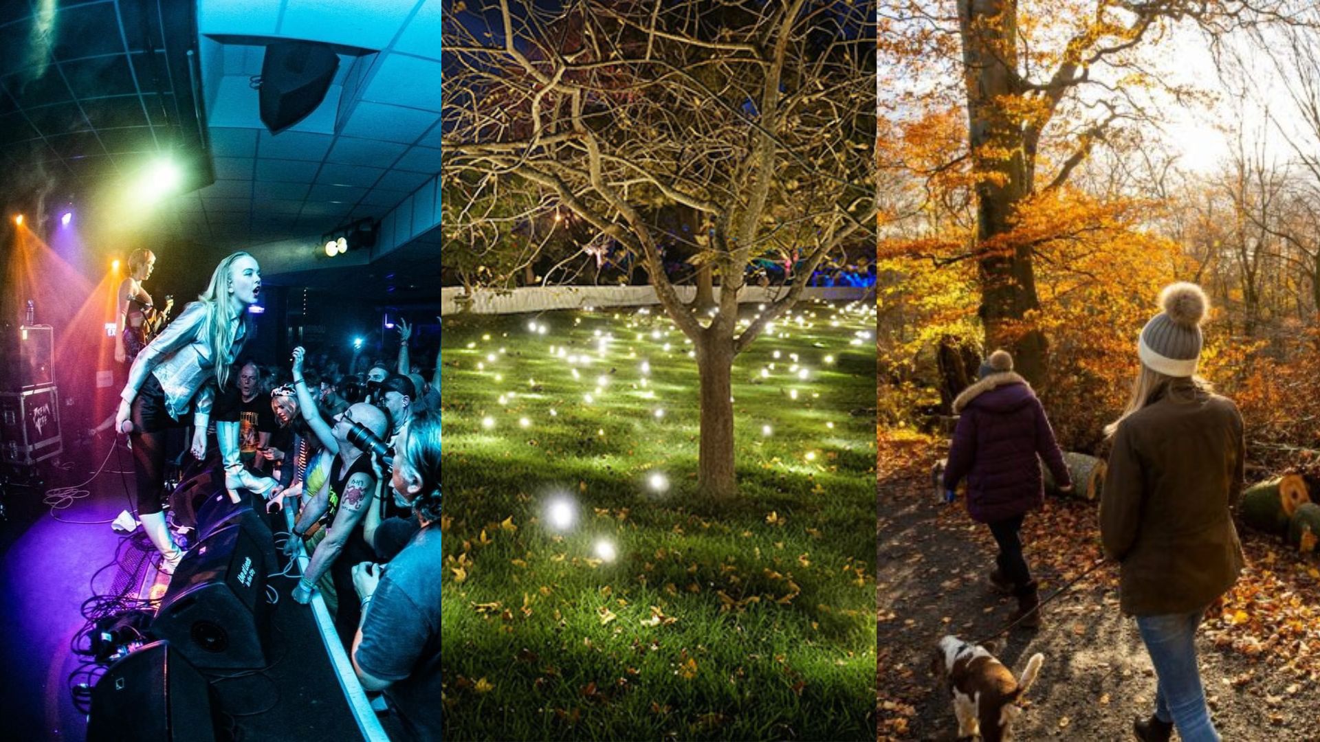 The best things to do in and around Leeds this week | 9 - 15 October ...